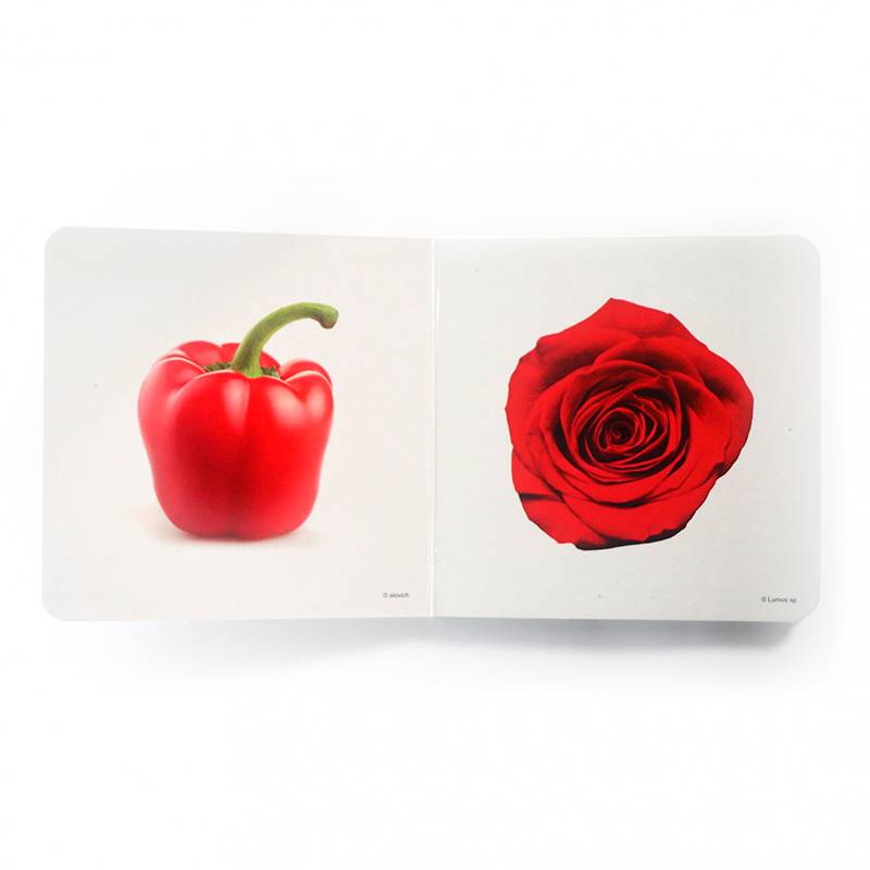 Libro imágenes reales El color rojo - Nowordbooks